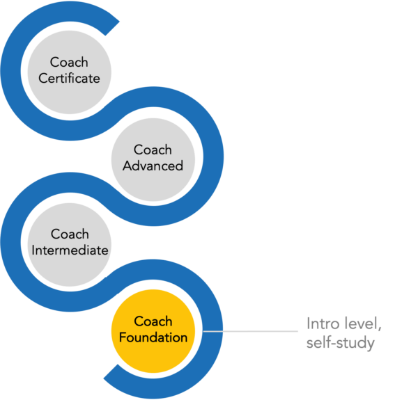 Manager as Coach: Foundation - four week trial access - LearnStarr